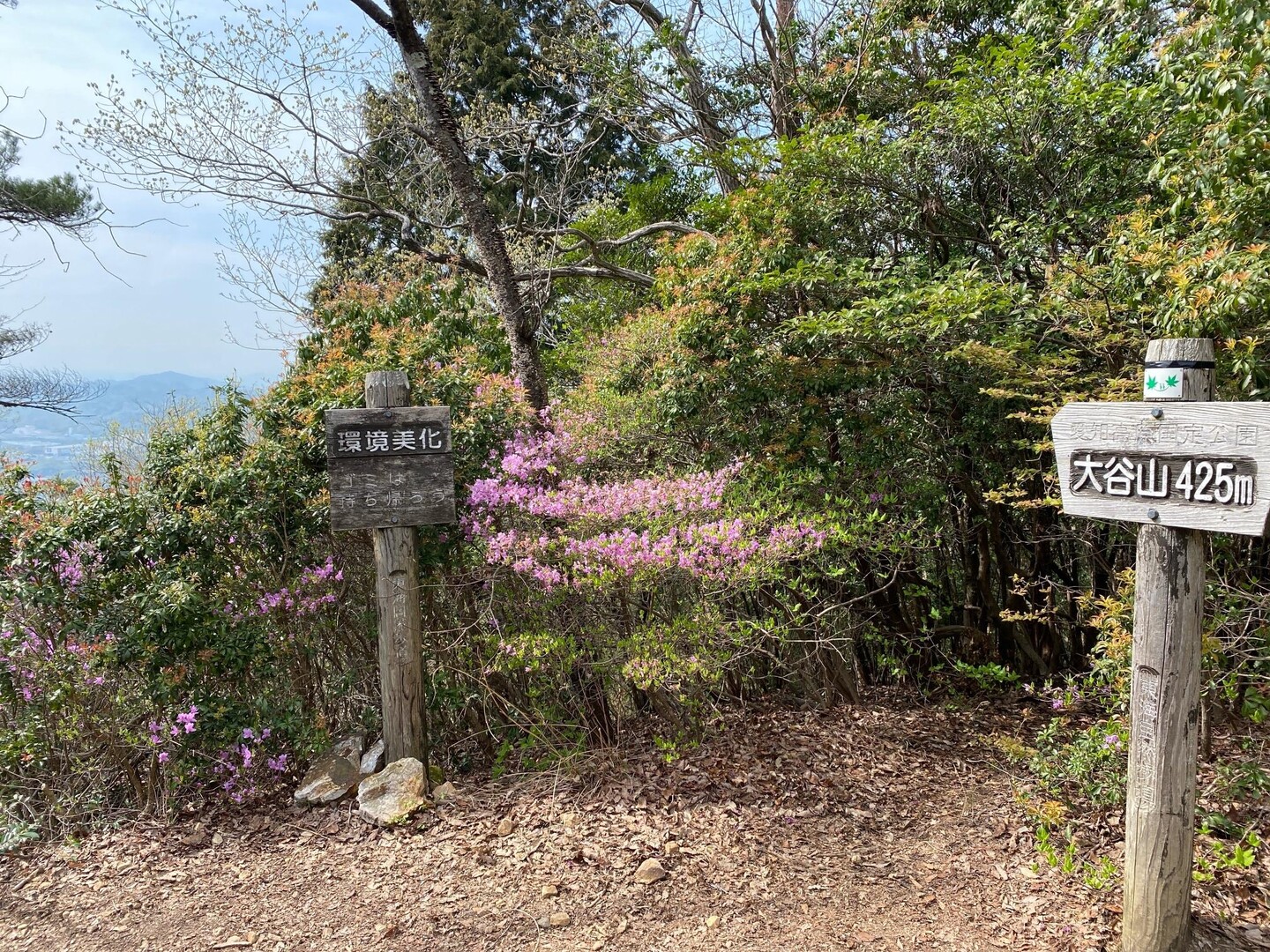 大谷山・弥勒山 / rinpeさんの春日井三山・弥勒山・大谷山・道樹山の活動データ | YAMAP / ヤマップ