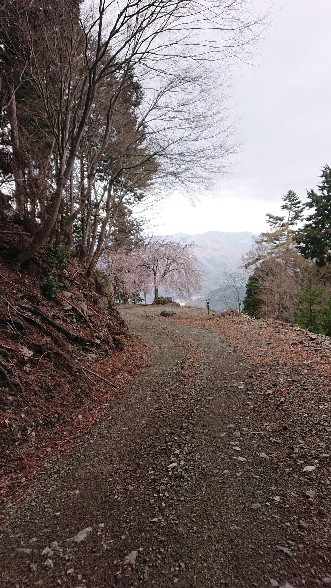 身延山 / DKさんの七面山・身延山の活動データ | YAMAP / ヤマップ