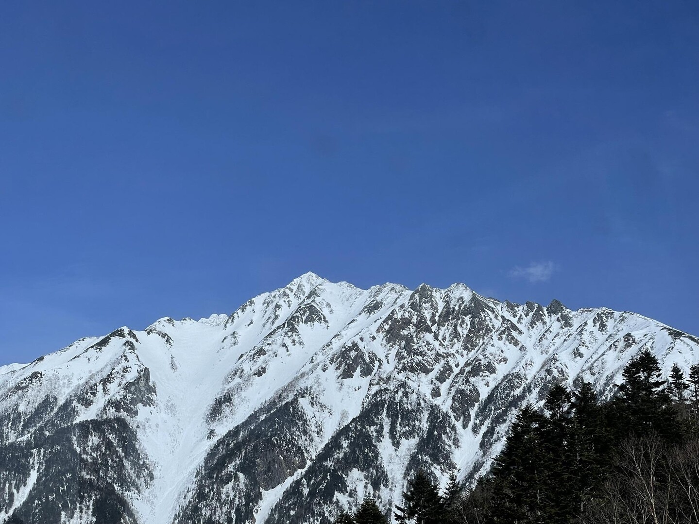 雪の西穂高岳20240331 / terryさんの槍ヶ岳・穂高岳・上高地の活動データ | YAMAP / ヤマップ