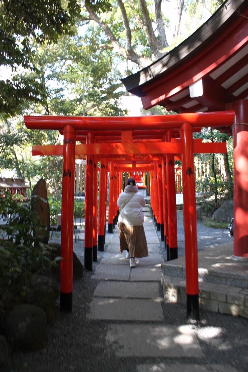 来宮神社から熱海駅-2024-02-12 / uruさんのウォーキングの活動日記 | YAMAP / ヤマップ
