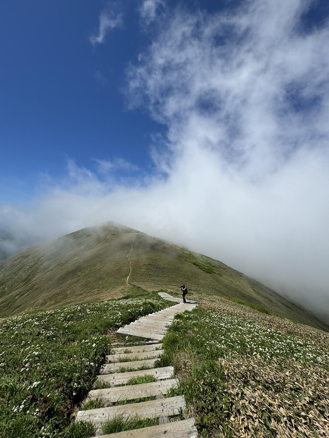 平標山・仙ノ倉山 / miiさんの仙ノ倉山・平標山・大源太山の活動データ | YAMAP / ヤマップ