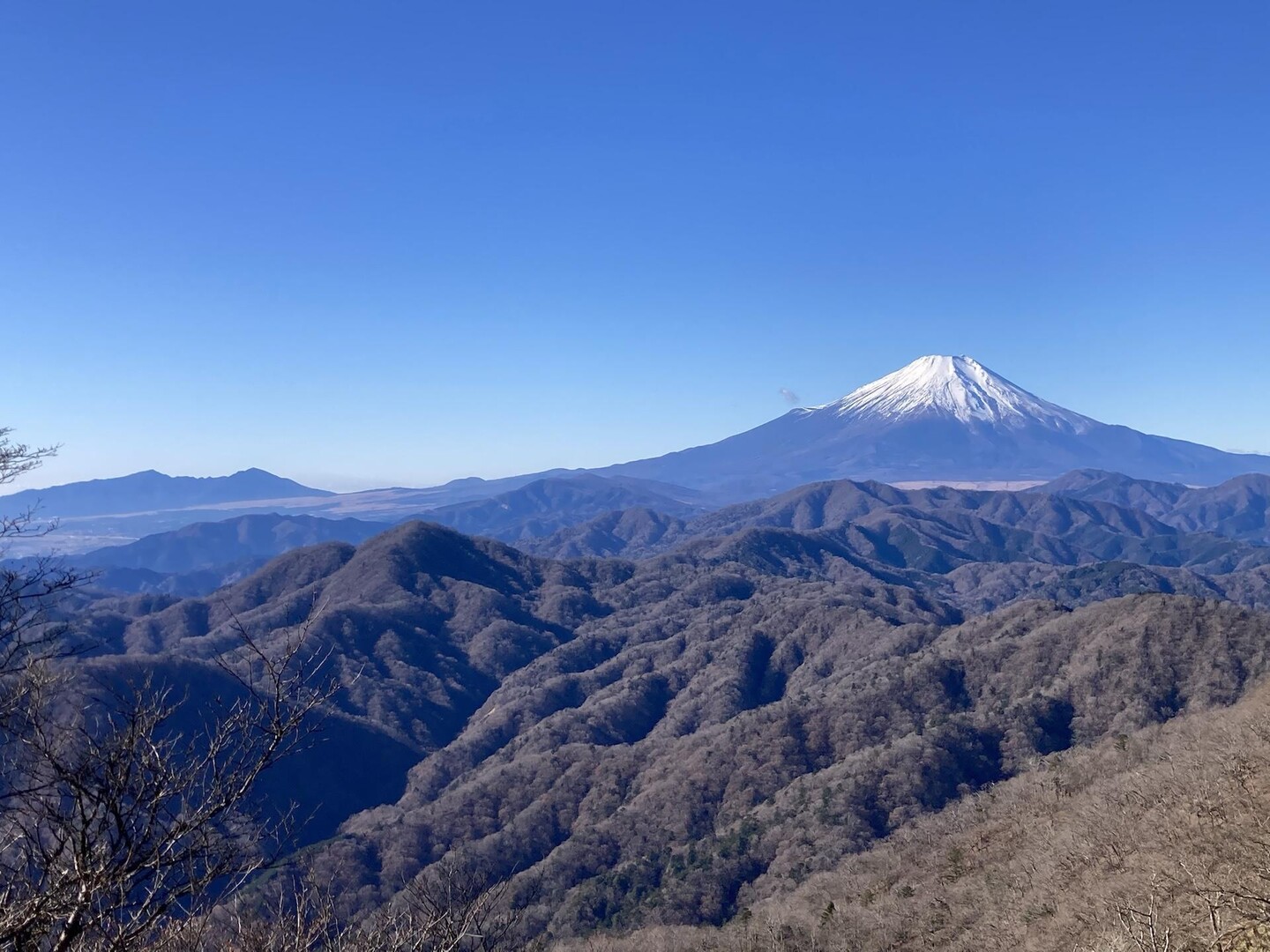 犬越路から大室山と加入道山へ / plasmonさんの大室山・畦ヶ丸山・菰釣山の活動データ | YAMAP / ヤマップ