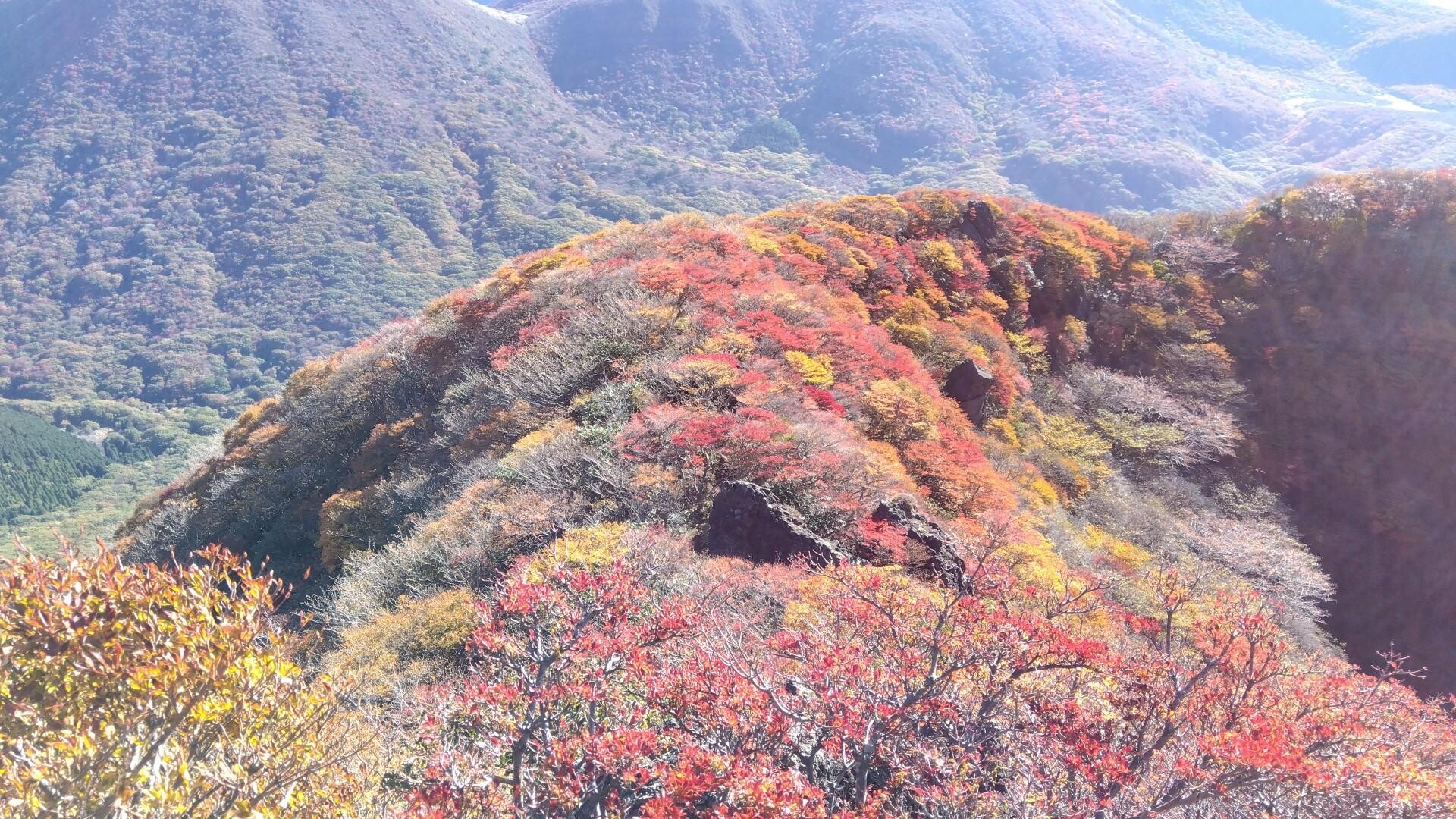紅葉の大船山、三俣山 / mitさんの九重山（久住山）・大船山・星生山の活動データ | YAMAP / ヤマップ