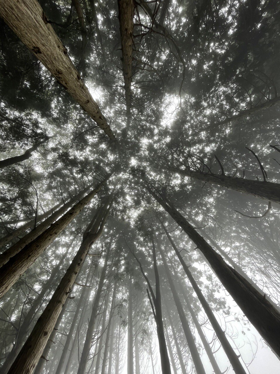 土岳 / ma-sa45さんの土岳・花貫渓谷・竪破山の活動データ | YAMAP / ヤマップ