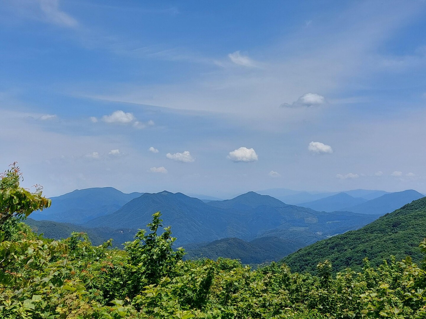 牛曳山・伊良谷山・毛無山 / Asami-Mさんの比婆山・立烏帽子山・吾妻山の活動データ | YAMAP / ヤマップ