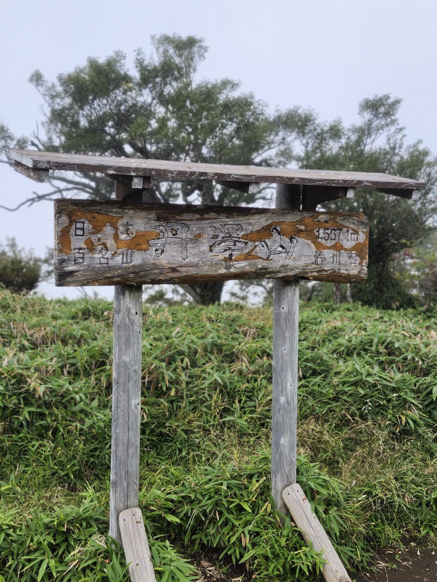 塔ノ岳・丹沢山 午後から発雷確率Up！ / きまぐれ坊やさんの塔ノ岳・丹沢山・蛭ヶ岳の活動データ | YAMAP / ヤマップ