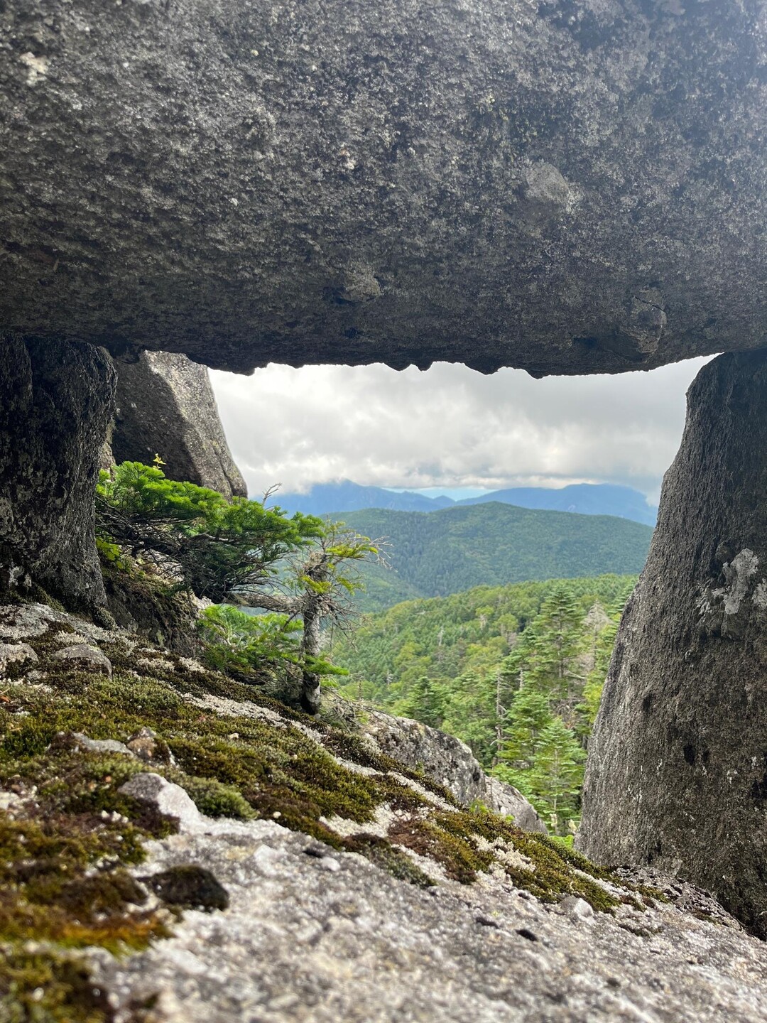 甲武信ヶ岳training / tenpiさんの甲武信ヶ岳の活動データ | YAMAP / ヤマップ