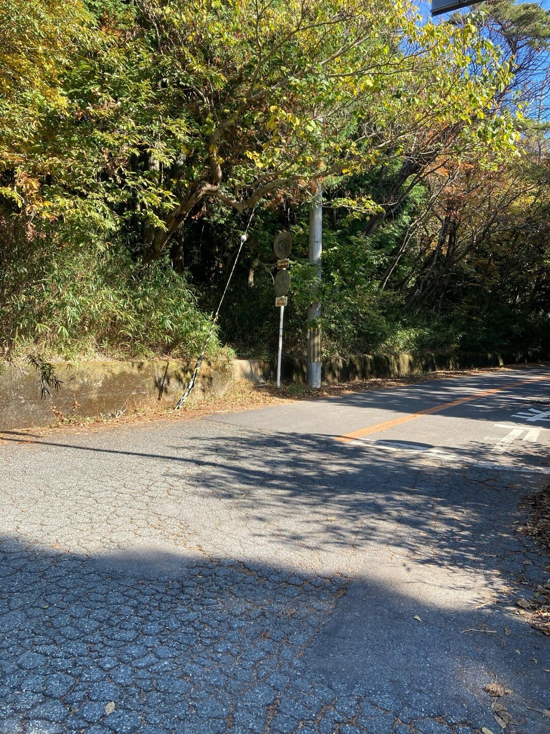 yasu oyaji:さんの投稿したフィールドメモ | YAMAP / ヤマップ