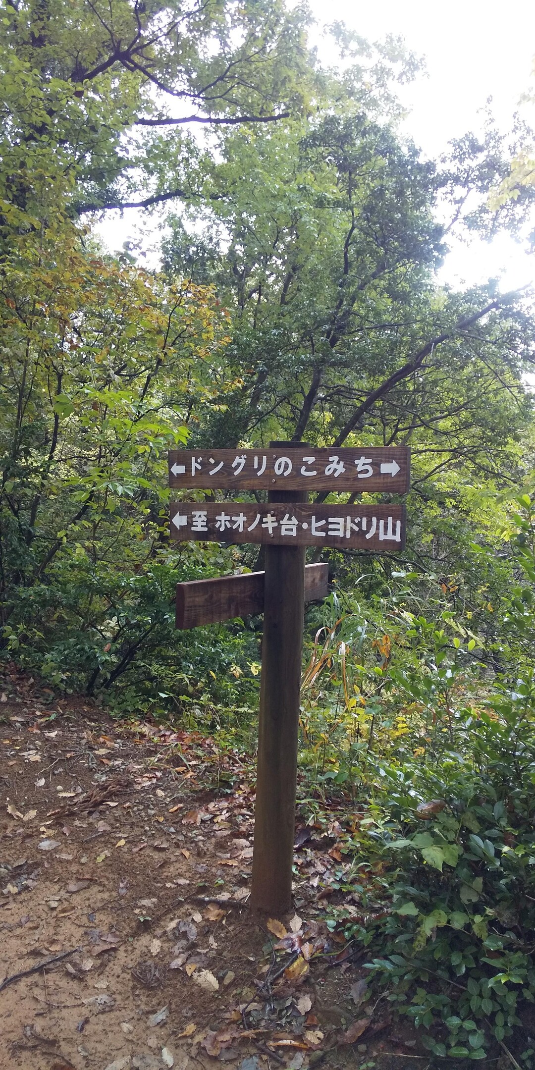 (土)PMから☔️は上がる…でも(日)の... / Yamamidoさんのモーメント | YAMAP / ヤマップ