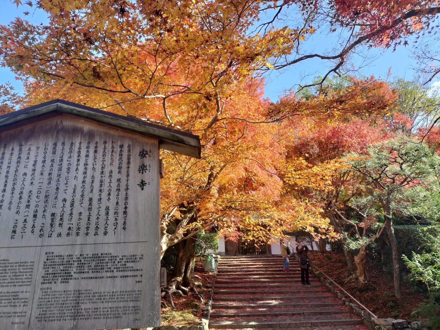 秋はやっぱり京都です（大文字山・善気山） / とっさん0923さんの大文字山・如意ヶ嶽・稲荷山の活動データ | YAMAP / ヤマップ