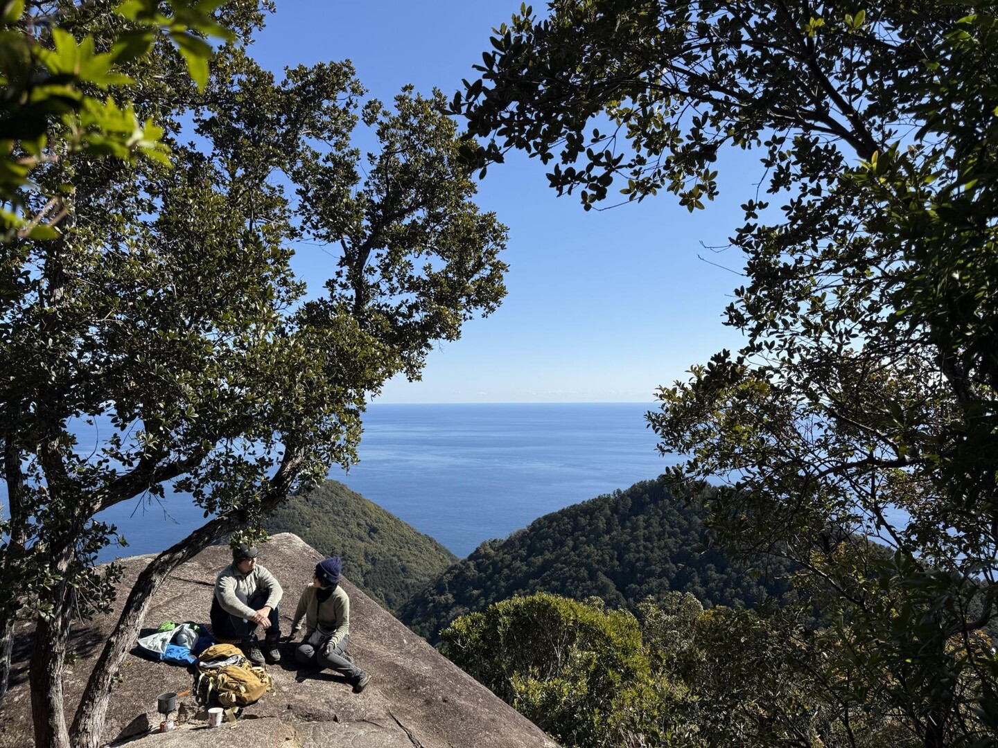 Oh!what say♡OHAI / ハチさんの八鬼山・頂山・オハイの活動日記 | YAMAP / ヤマップ