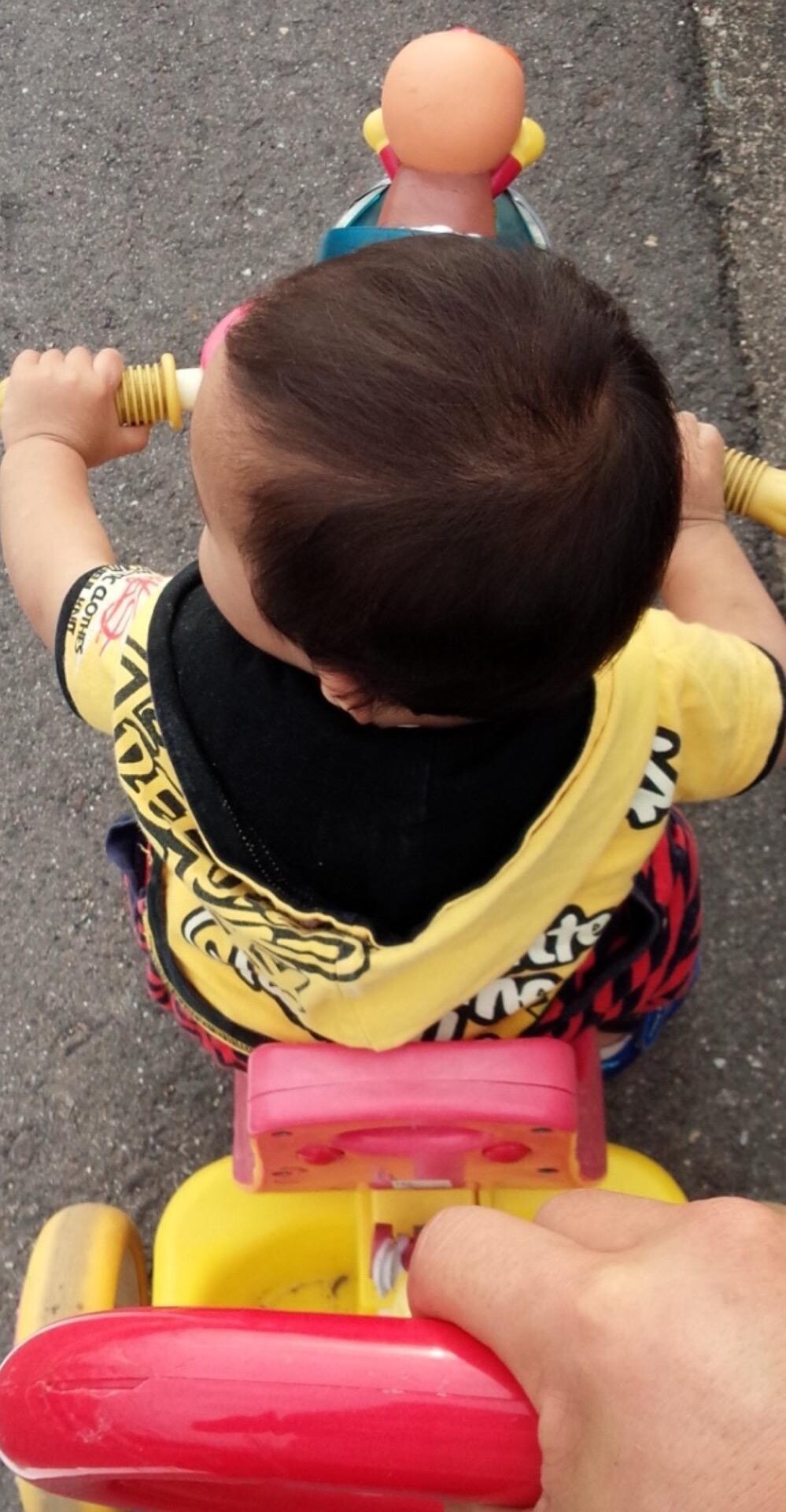 おちんちんやお尻を出して追い掛けるとあん... / ゆうちゃん🦉♨️さんのモーメント | YAMAP / ヤマップ