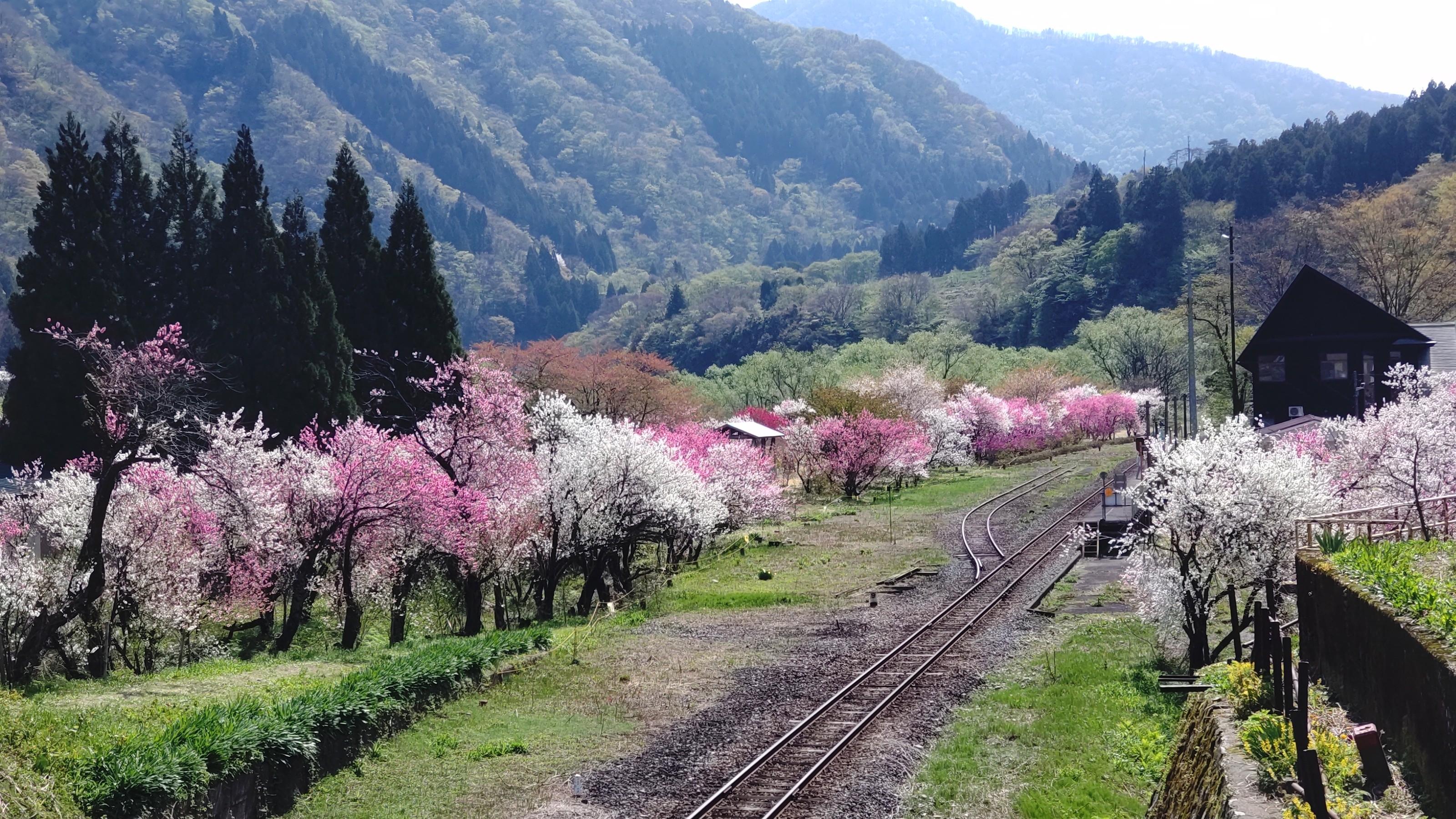 大野自転車 https://tabibt... / てんぐのこさんのモーメント | YAMAP / ヤマップ