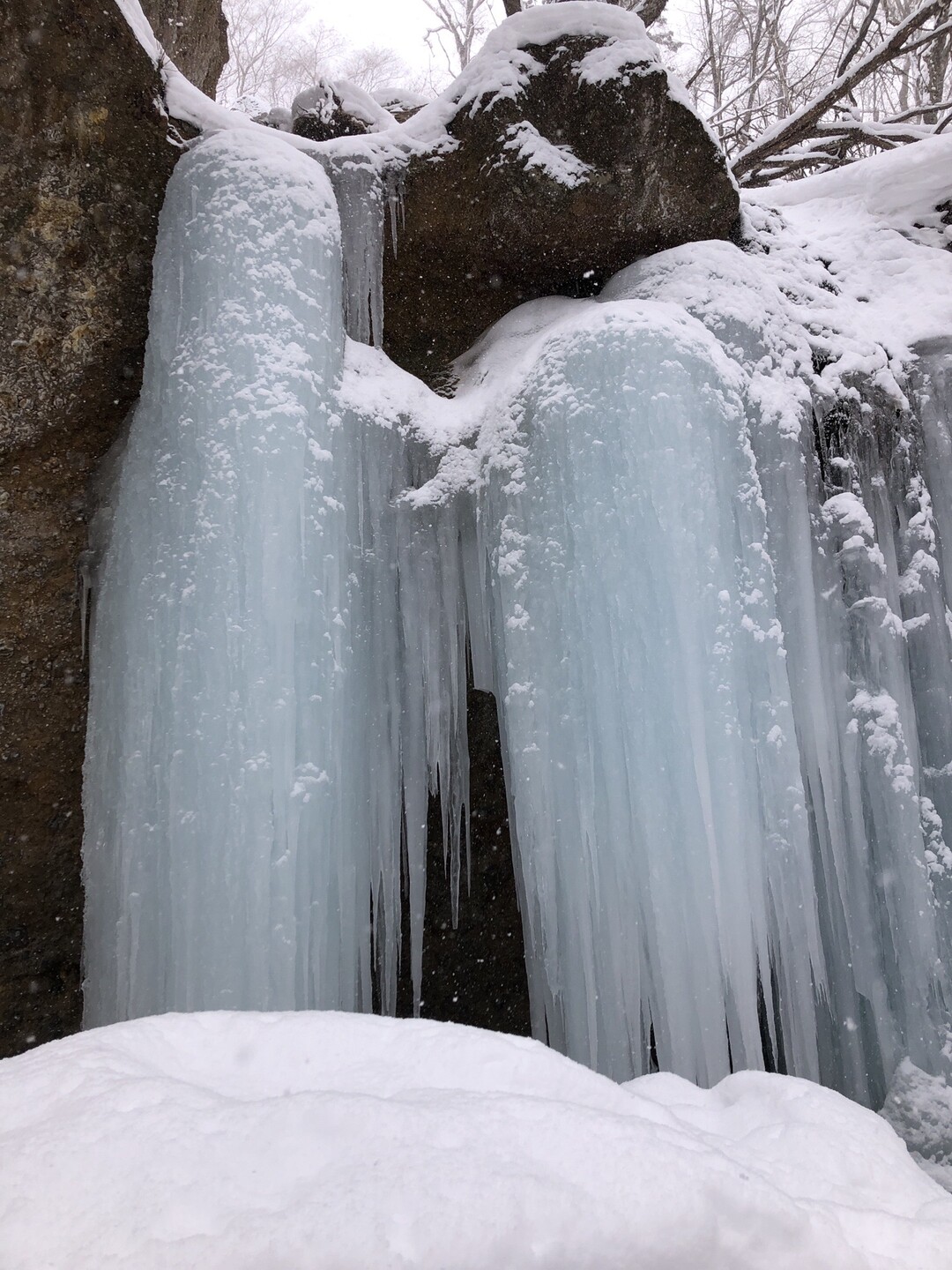 2022.02.06 雲竜渓谷 氷瀑ツア... / Kimiさんのモーメント | YAMAP / ヤマップ
