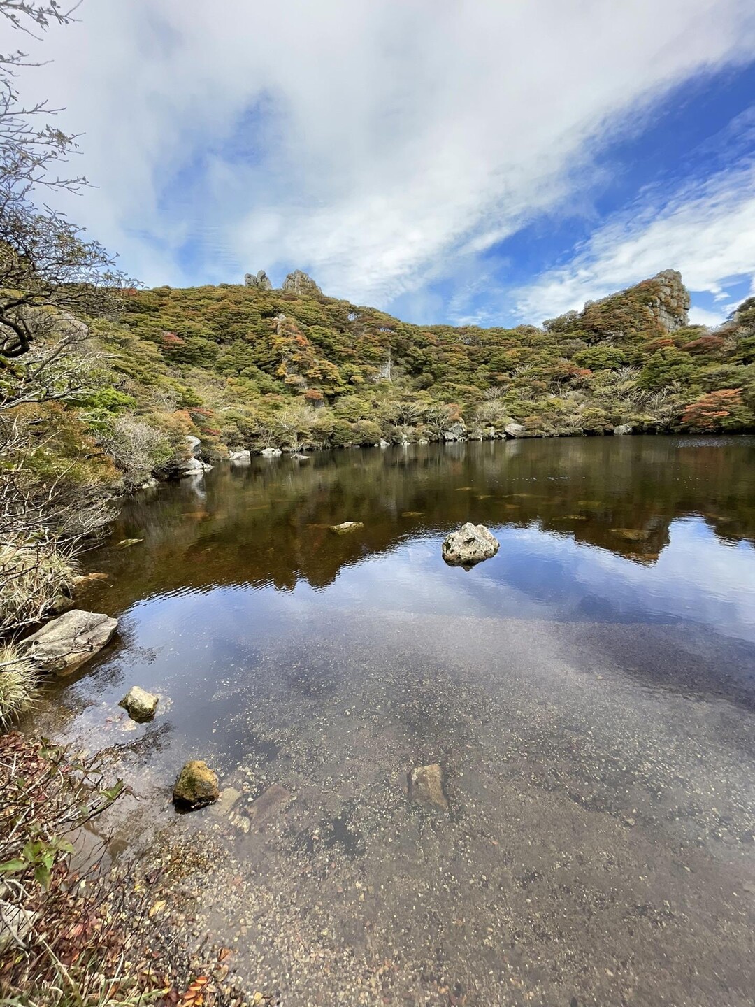 北大船山・大船山 / siopanさんの九重山（久住山）・大船山・星生山の活動データ | YAMAP / ヤマップ