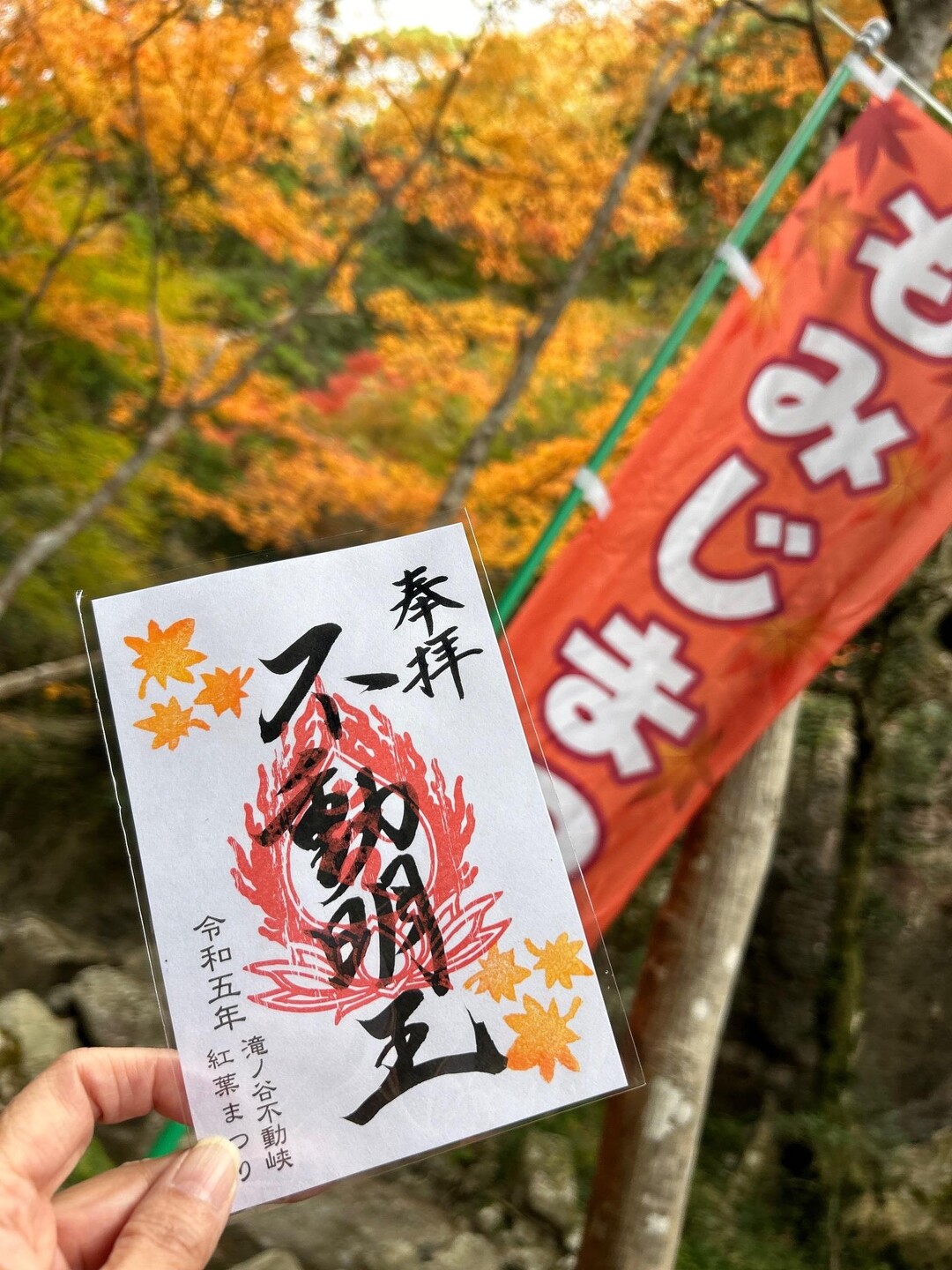滝ノ谷不動峡 もみじ巡り🍁🍁🍁 / akeppさんのウォーキングの活動データ | YAMAP / ヤマップ