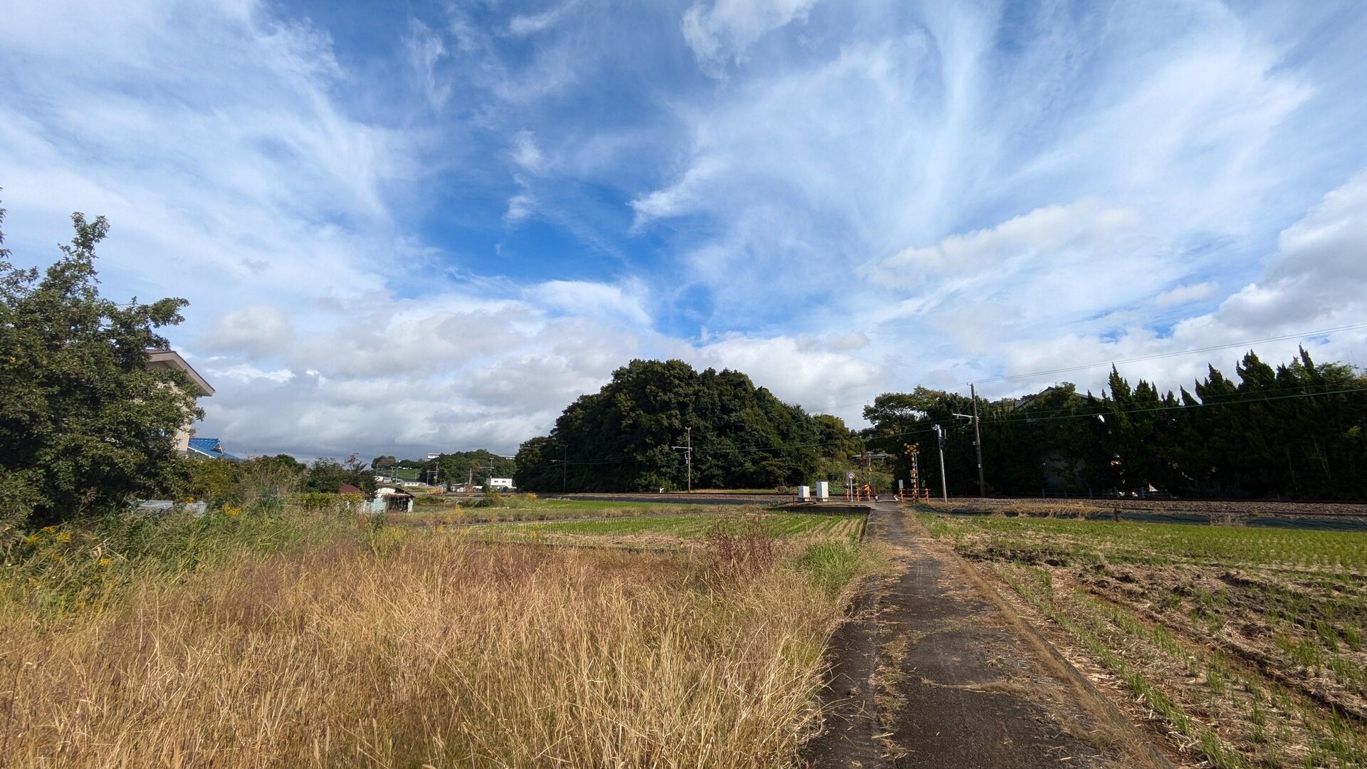 祇園山 後半(登録申請中)-2024-10-19 / ko usさんの沼津アルプス・鷲頭山・香貫山の活動データ | YAMAP / ヤマップ