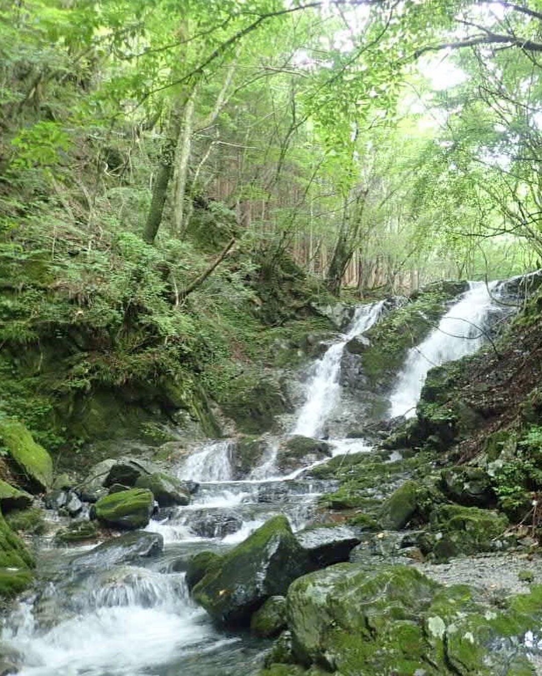 バラシマ沢 / manatさんの沢登りの活動データ | YAMAP / ヤマップ