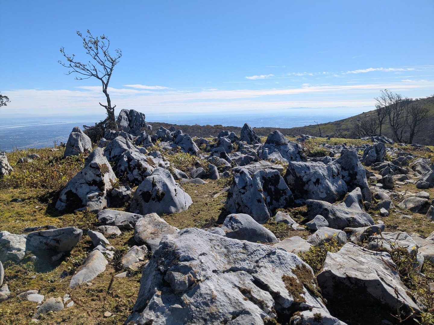 藤原岳・天狗岩 / kazuoonさんの藤原岳・御池岳の活動データ | YAMAP / ヤマップ