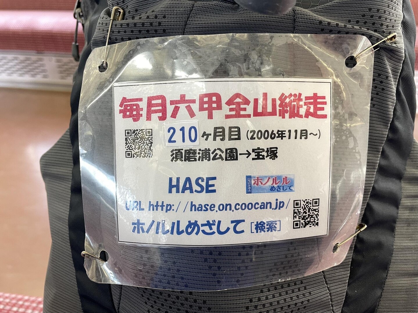 毎月六甲全山縦走210ヶ月目 / HASEさんの六甲山・長峰山・摩耶山の活動データ | YAMAP / ヤマップ