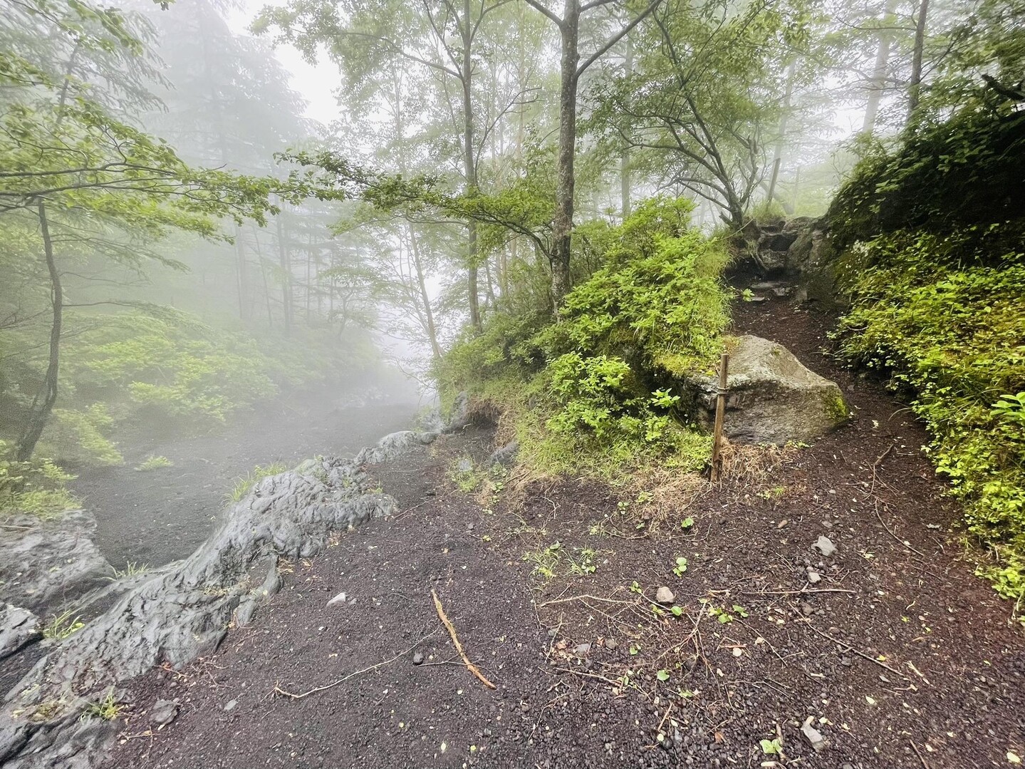 tam-tamさんの投稿したフィールドメモ | YAMAP / ヤマップ