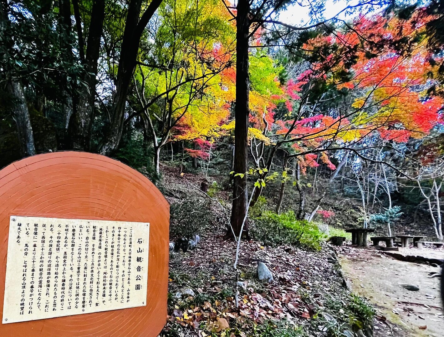 🍁石山観音（三重）2023-11-24 / kcoさんの錫杖ヶ岳の活動データ | YAMAP / ヤマップ