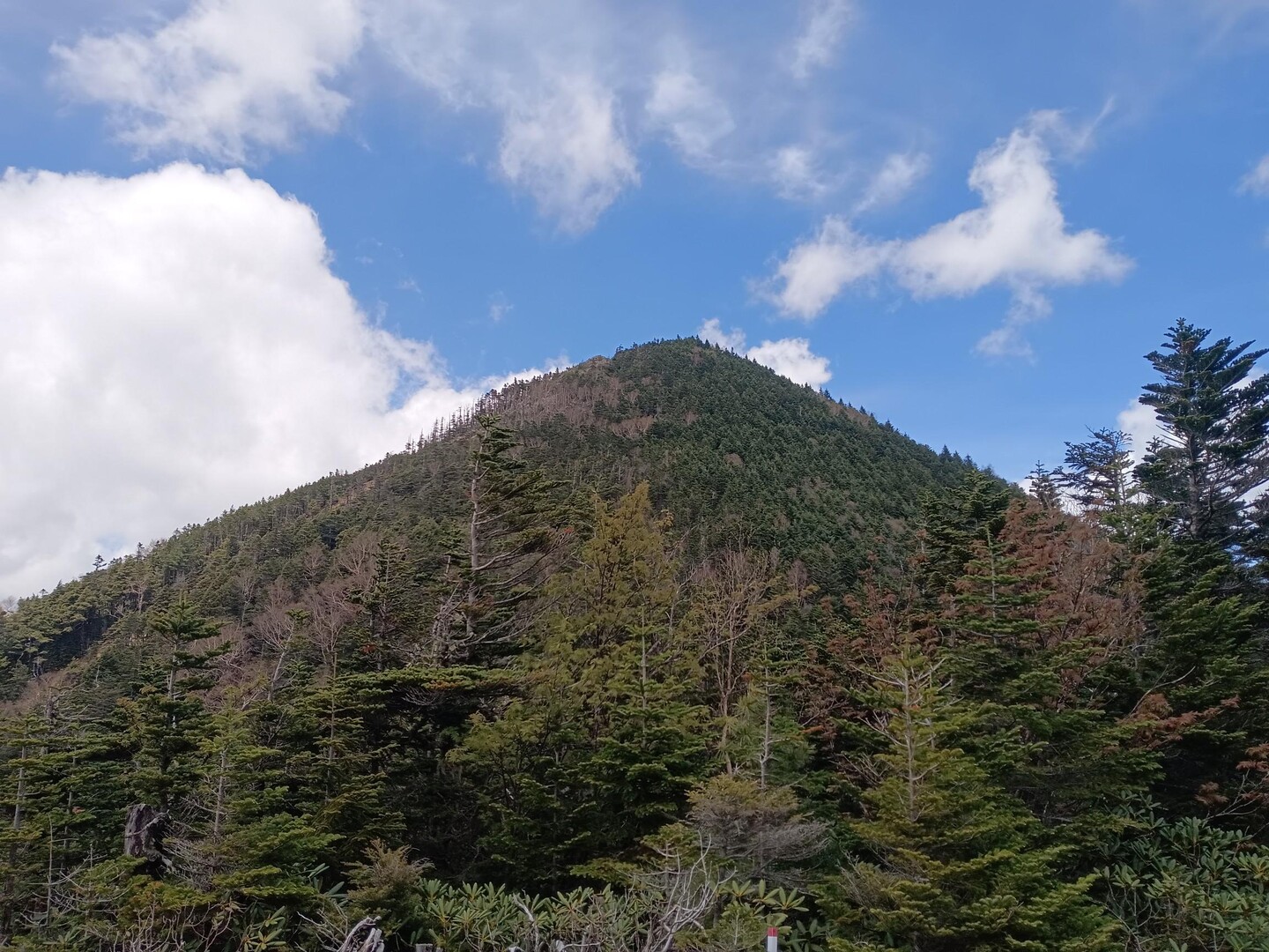 木賊山・甲武信ヶ岳 / toraさんの甲武信ヶ岳の活動データ | YAMAP / ヤマップ