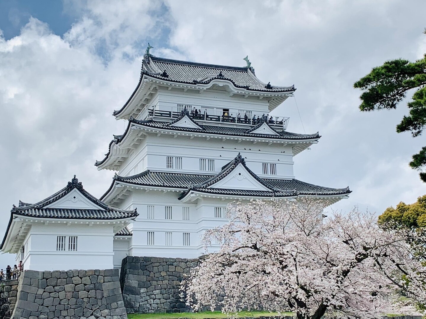 術後3週とちょっとの3月29日 安静期間... / momoさんのモーメント | YAMAP / ヤマップ