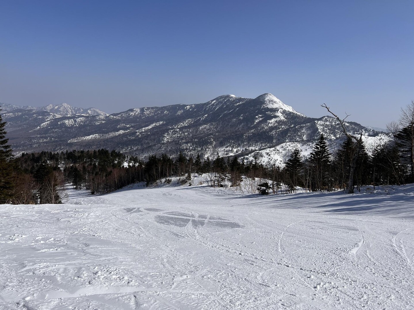 志賀高原中央エリア、全域を回ってきました... / kazuさんのモーメント | YAMAP / ヤマップ