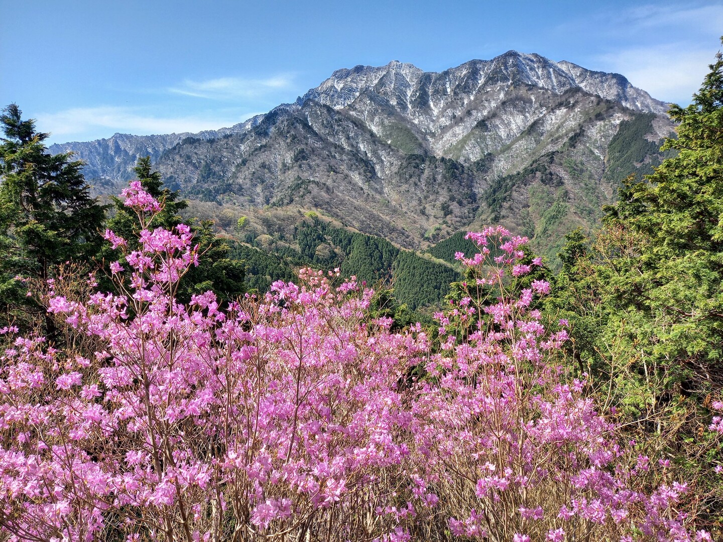 本日は石鎚系の山・黒川山1365.5mに... / ヤマスカイウォーカーさんのモーメント | YAMAP / ヤマップ