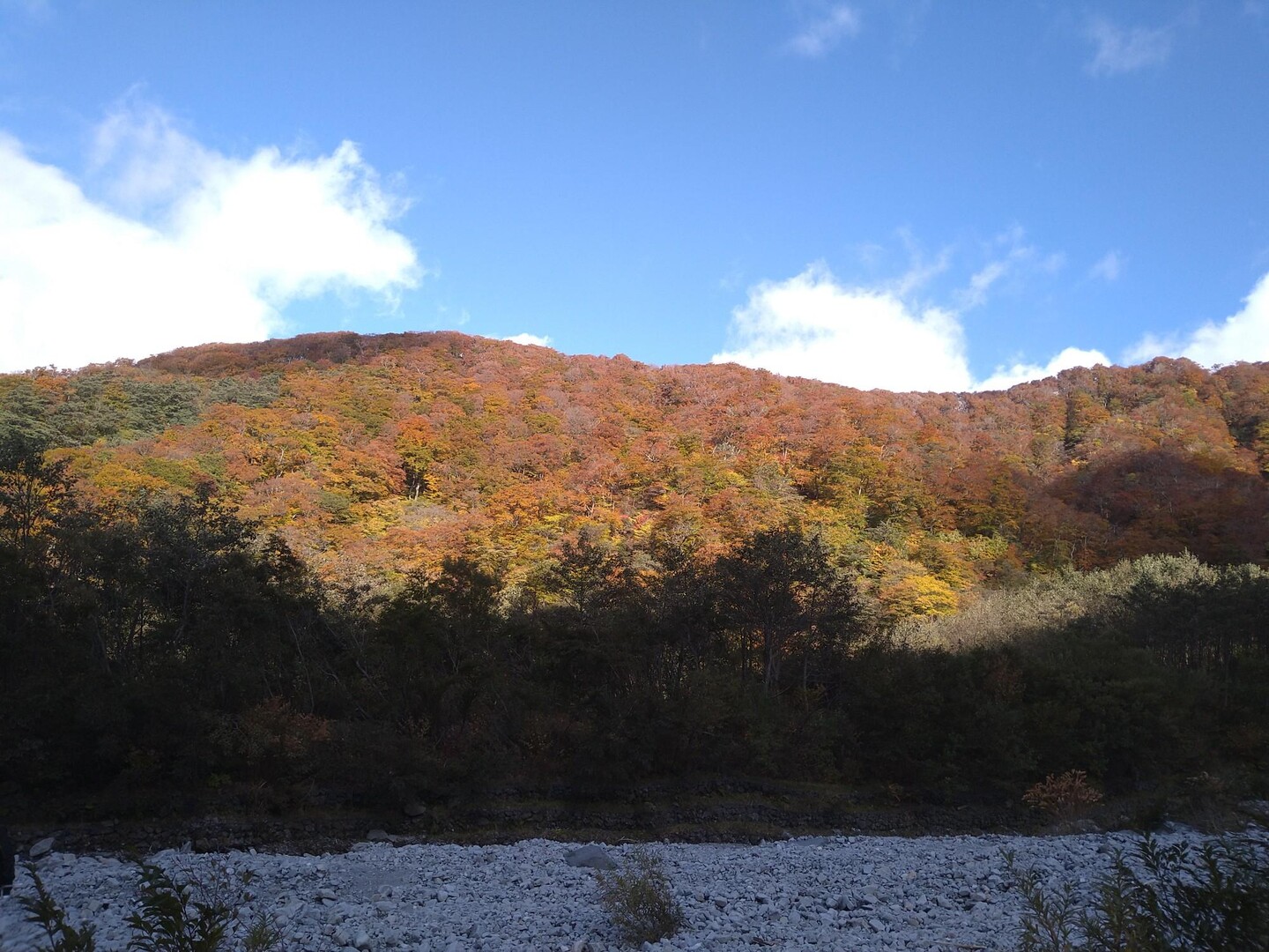 大山（弥山) / kinuさんの大山・甲ヶ山・野田ヶ山の活動データ | YAMAP / ヤマップ