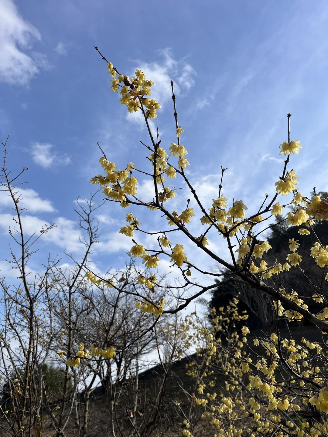 気延山 / zakiさんの気延山の活動データ | YAMAP / ヤマップ