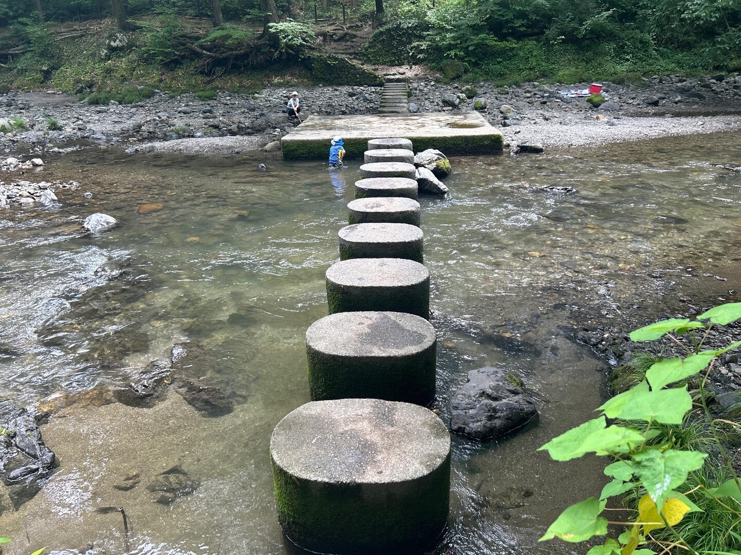 天覧山,多峯主山,ドレミファ橋ハイキング / sky さんの天覧山・多峯主山・天覚山の活動データ | YAMAP / ヤマップ