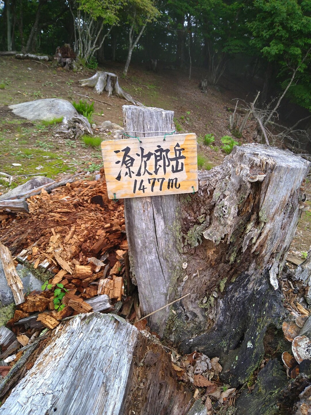 team training-恩若峯・源次郎岳・砥山 / 大 JAMA登山部さんの塩ノ山の活動日記 | YAMAP / ヤマップ