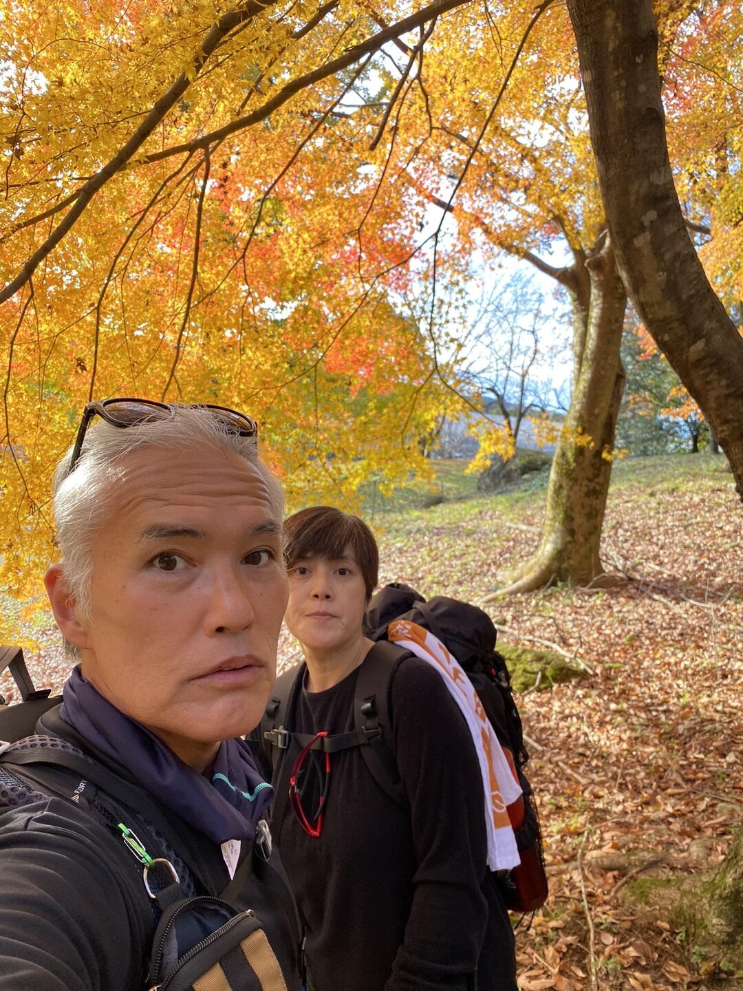 御堂山 奥獅子吼山 紅葉 雪 青空 太陽 二人 / yasuyasuさんの奥獅子吼山・口三方岳・烏帽子山の活動データ | YAMAP / ヤマップ