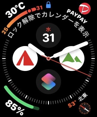 YAMAPアプリApple Watch対... / ムネアカオオアリさんのモーメント | YAMAP / ヤマップ