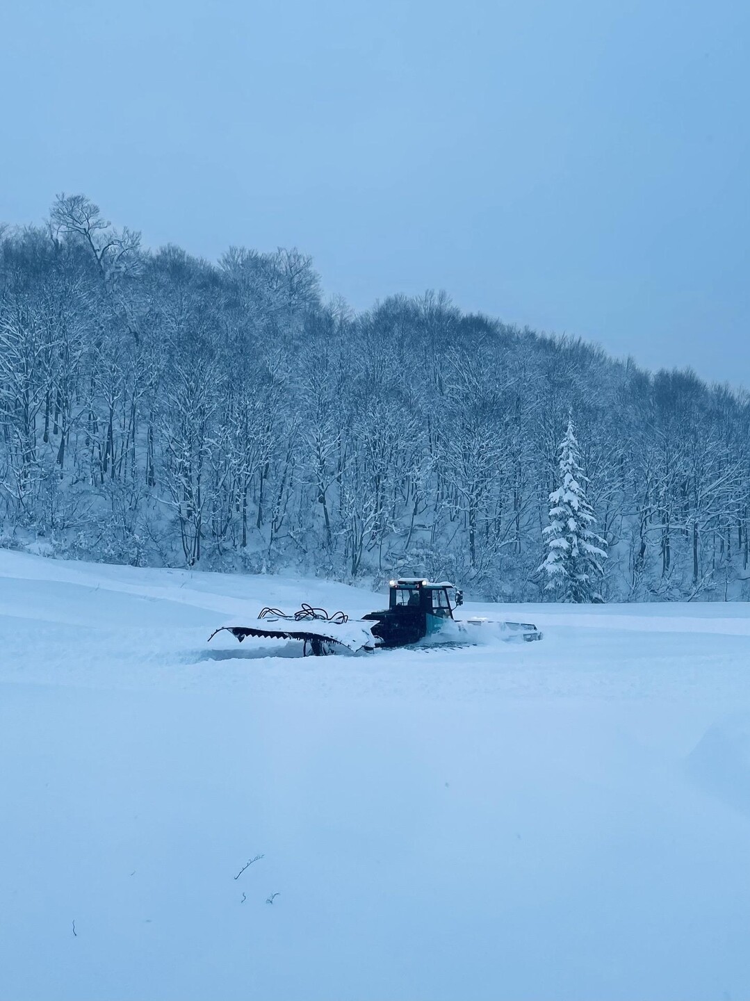 昨日から嬉しい本降り ️ 早朝から圧雪... / nさんのモーメント | YAMAP / ヤマップ