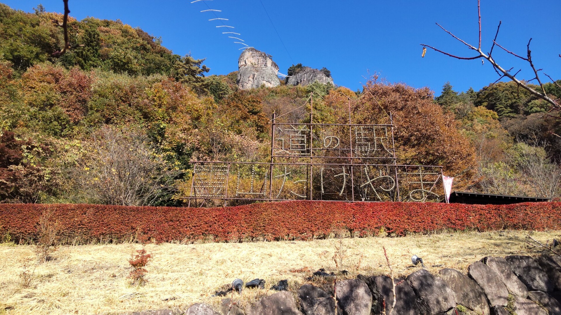 嵩山 / B.Bearさんの嵩山の活動データ | YAMAP / ヤマップ