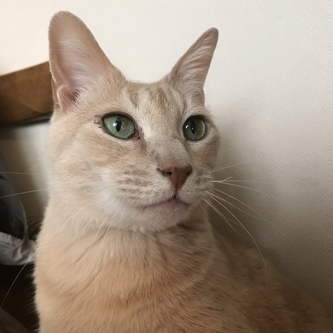 MOのページ | YAMAP / ヤマップ