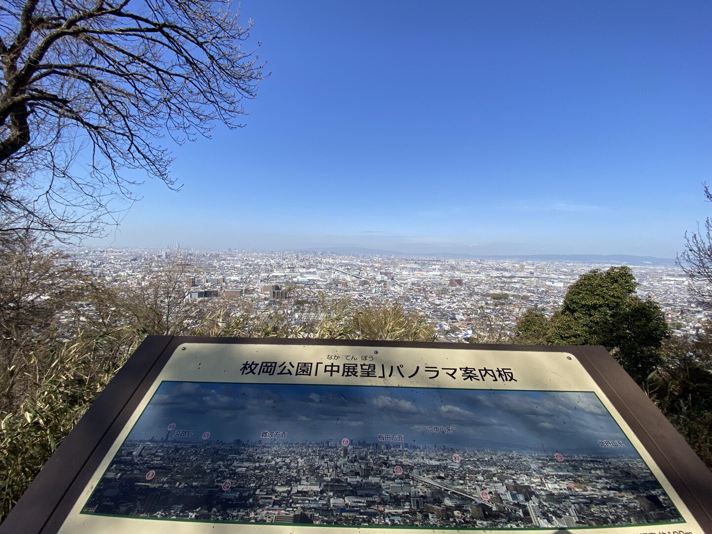 定期健診の後は、生駒山へ。 / varaderoさんの生駒山・神津嶽・大原山の活動データ | YAMAP / ヤマップ