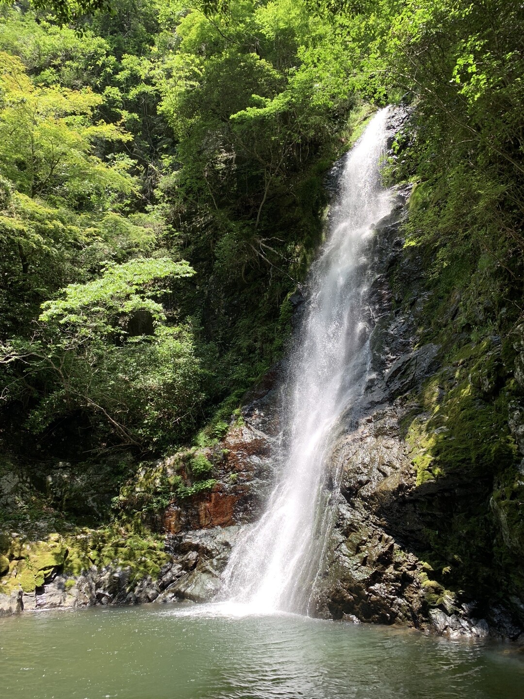 龍頭の滝(福山市山野町) / ktakuさんのモーメント | YAMAP / ヤマップ