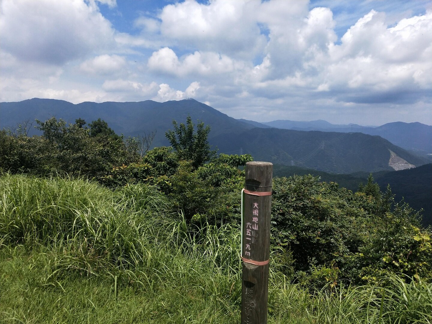 2023/07/22 大根地山 / mac.ohnoさんの大根地山の活動データ | YAMAP / ヤマップ