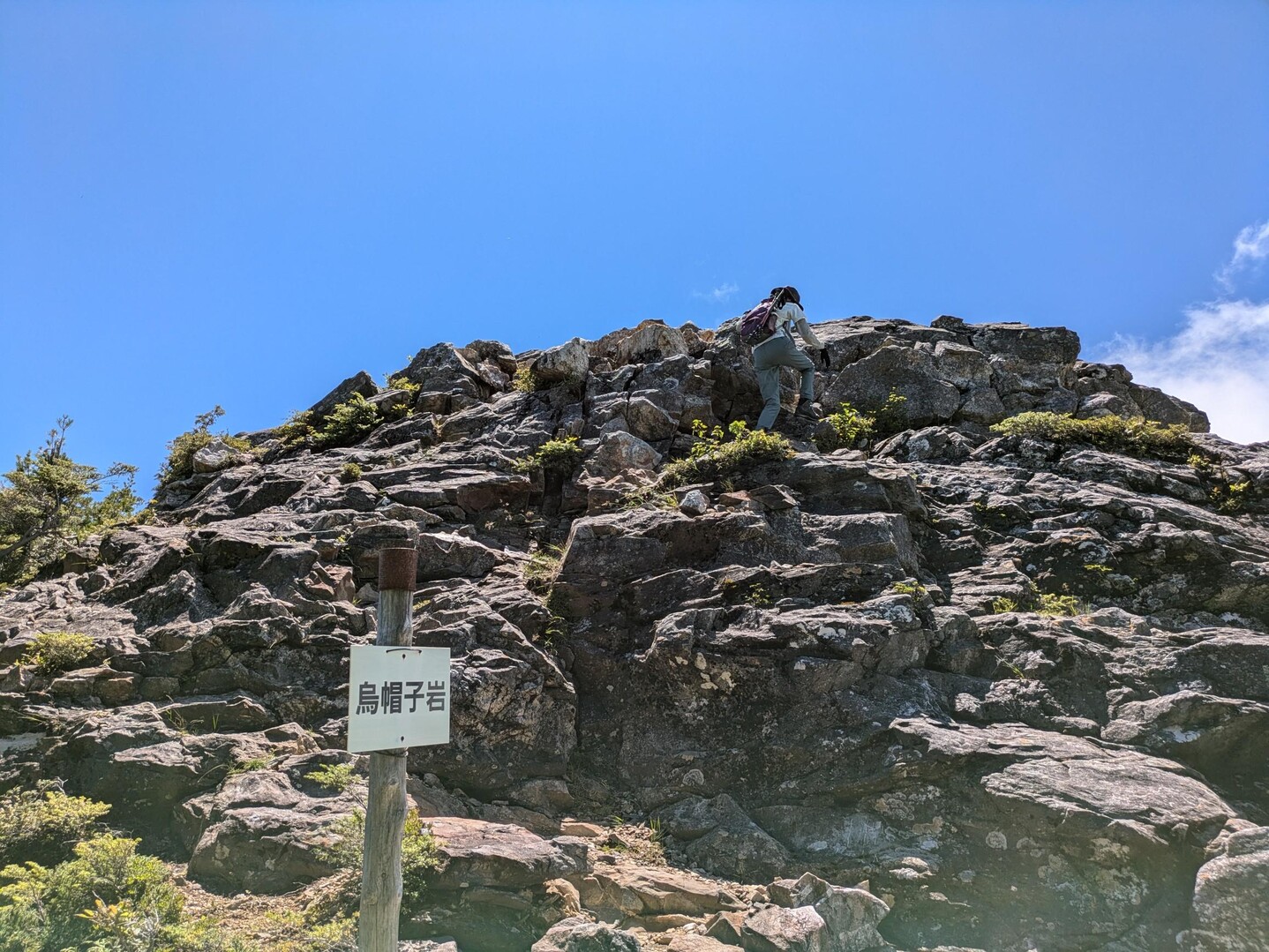小八郎岳・烏帽子岳 / kontomoさんの念丈岳・烏帽子岳・本高森山の活動データ | YAMAP / ヤマップ
