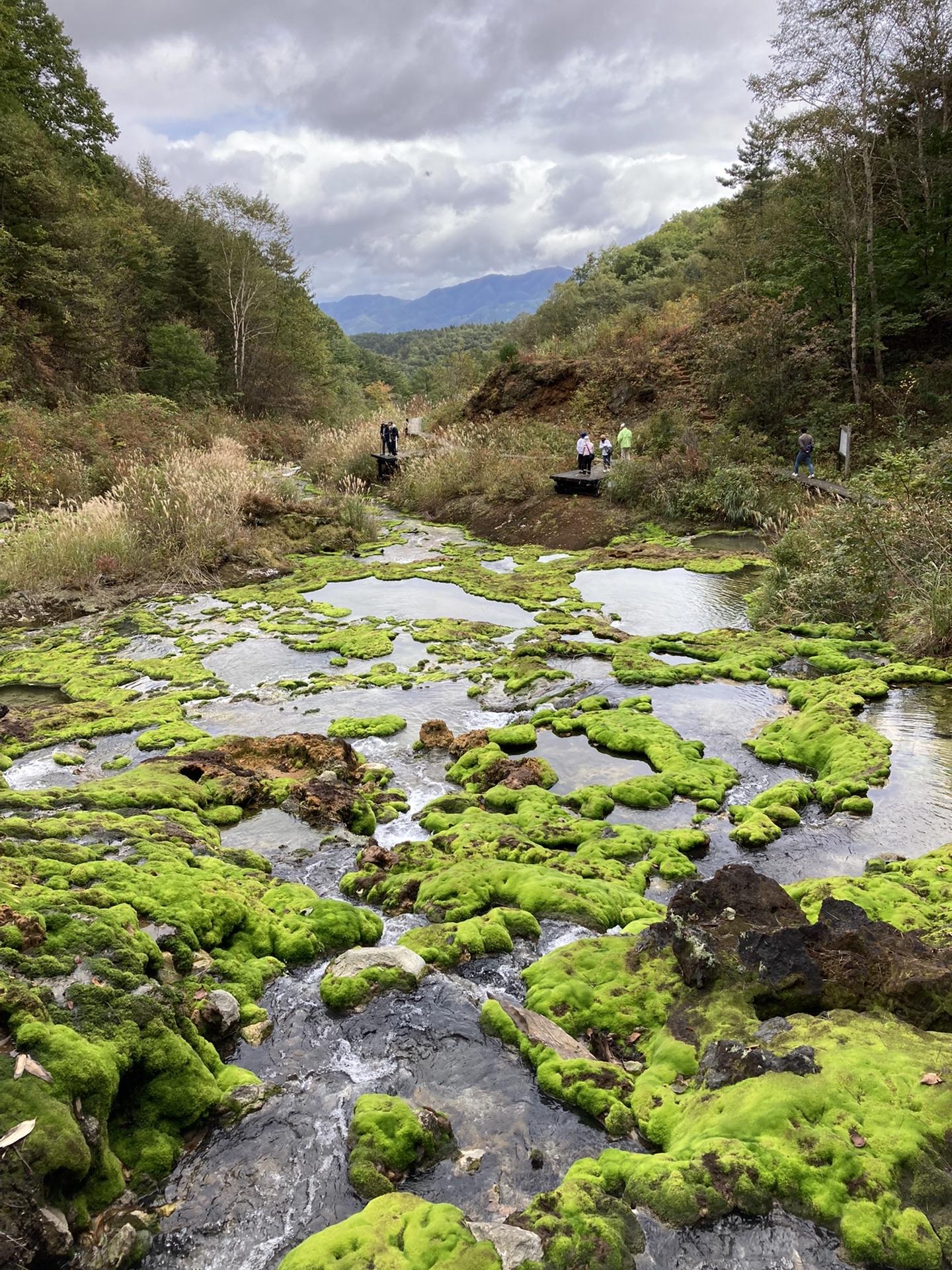 あれれ？ 久しぶりの山行き～ヤマップが使... / まやこよさんのモーメント | YAMAP / ヤマップ