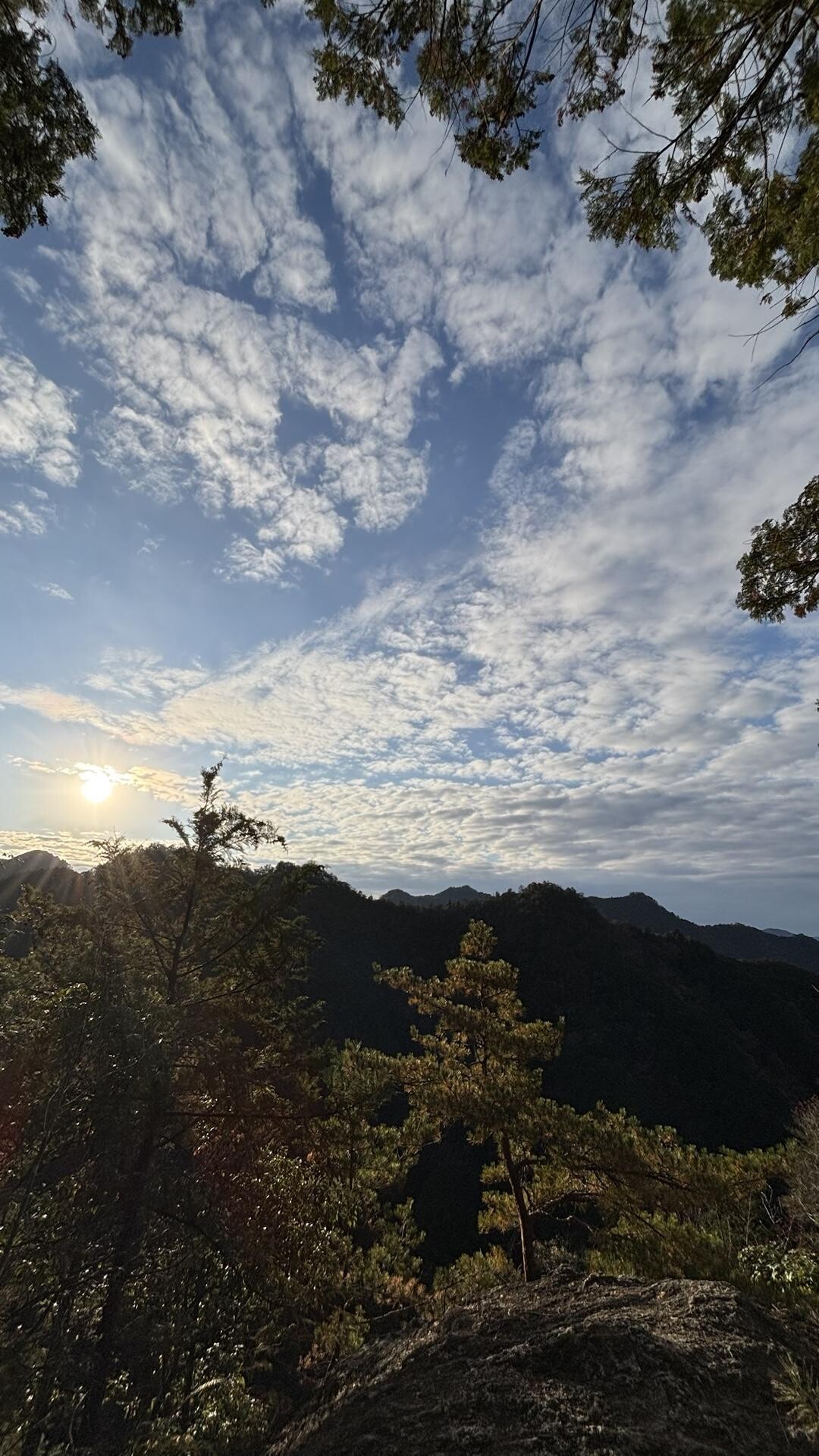 上臈岩 / 6DMEさんの宇連山・鳳来寺山・岩古谷山の活動データ | YAMAP / ヤマップ