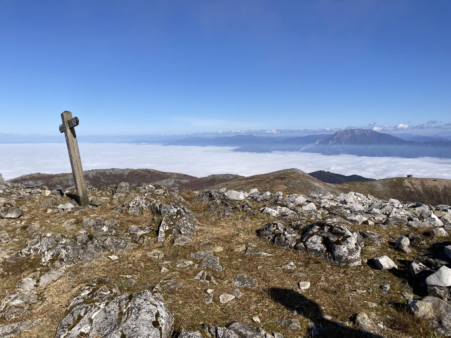 霊仙山 / noggyさんの霊仙山の活動データ | YAMAP / ヤマップ