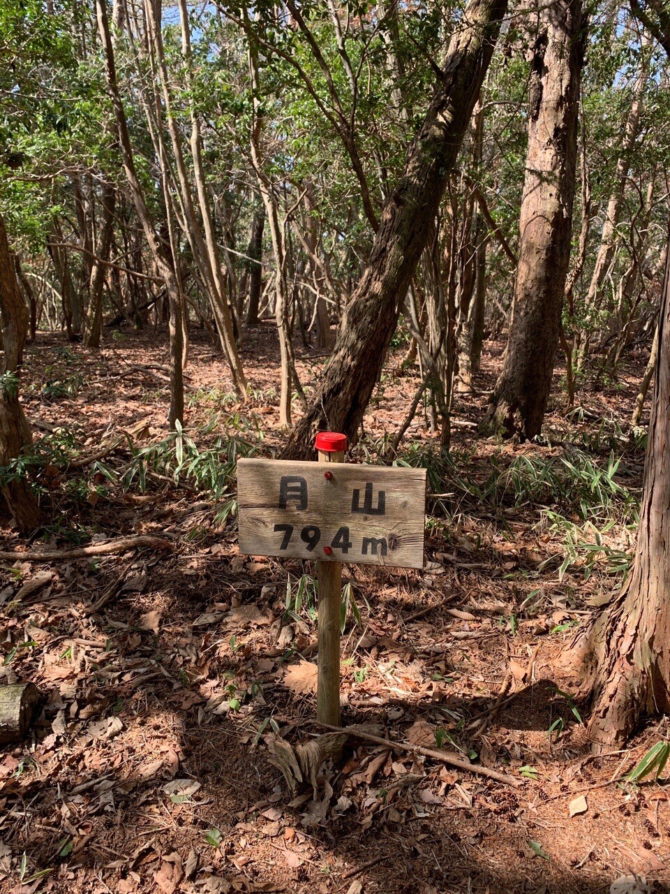 miwaさんの投稿したフィールドメモ | YAMAP / ヤマップ