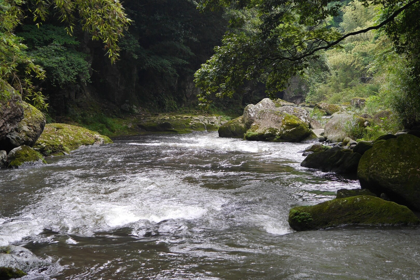 CMロケ地の【黄牛の滝】 （あめうしのた... / 山栞さんのモーメント | YAMAP / ヤマップ