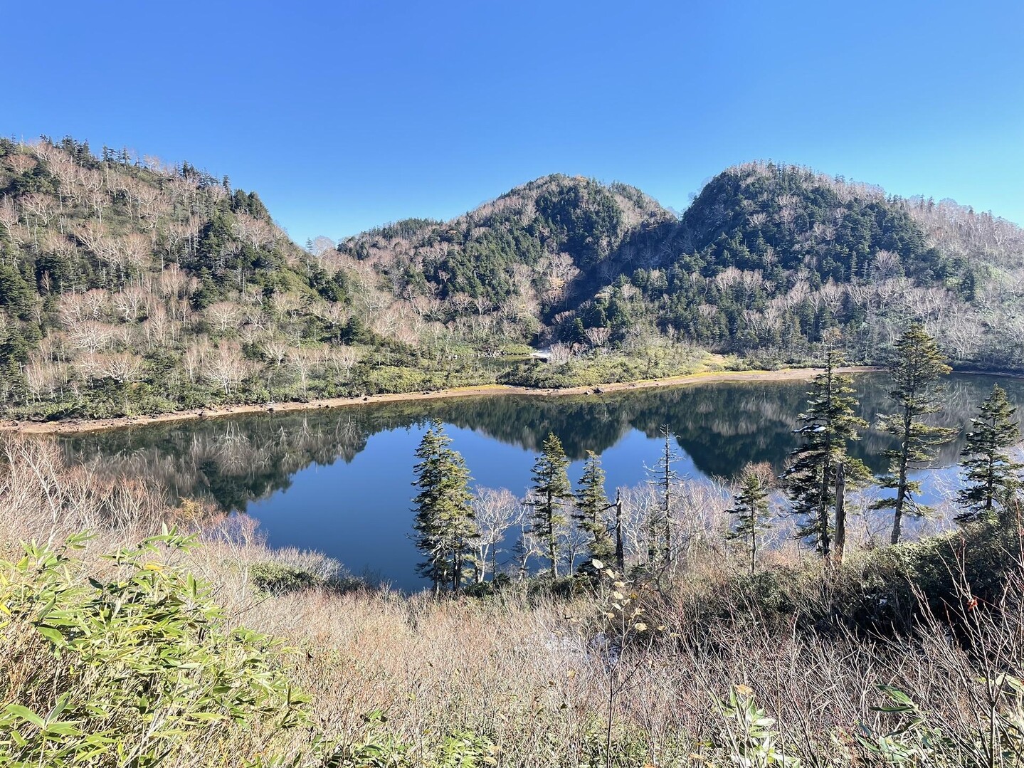 風吹大池・風吹岳 / ぴこたろうさんの蒲原山・一難場山・赤禿山の活動データ | YAMAP / ヤマップ