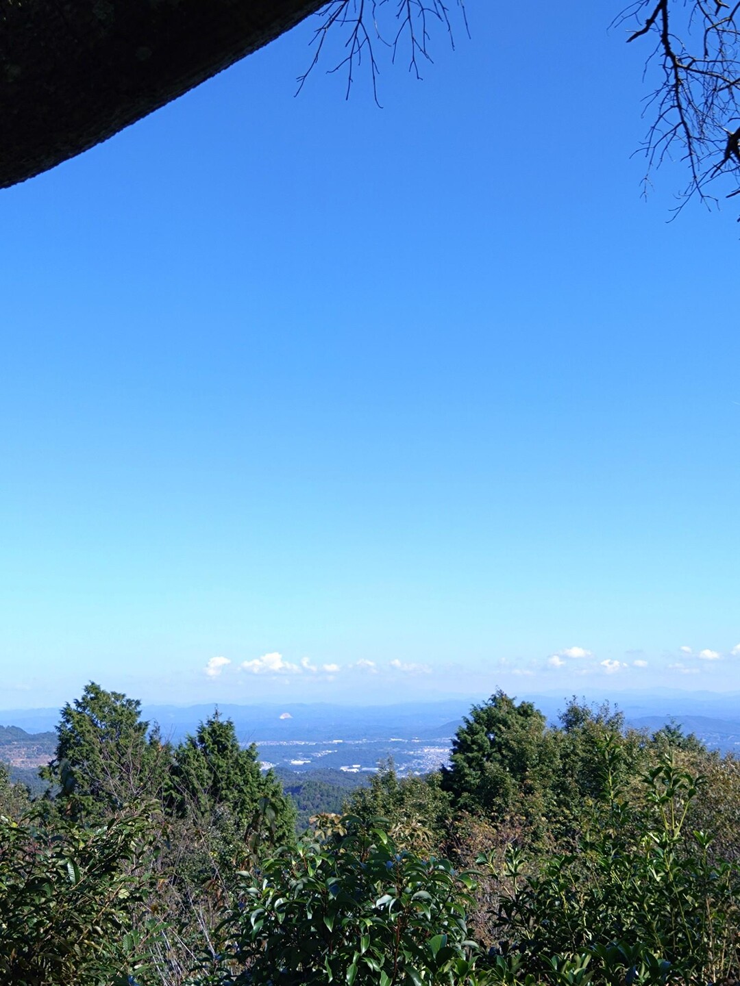弥勒山・大谷山 / AYUさんの春日井三山・弥勒山・大谷山・道樹山の活動データ | YAMAP / ヤマップ